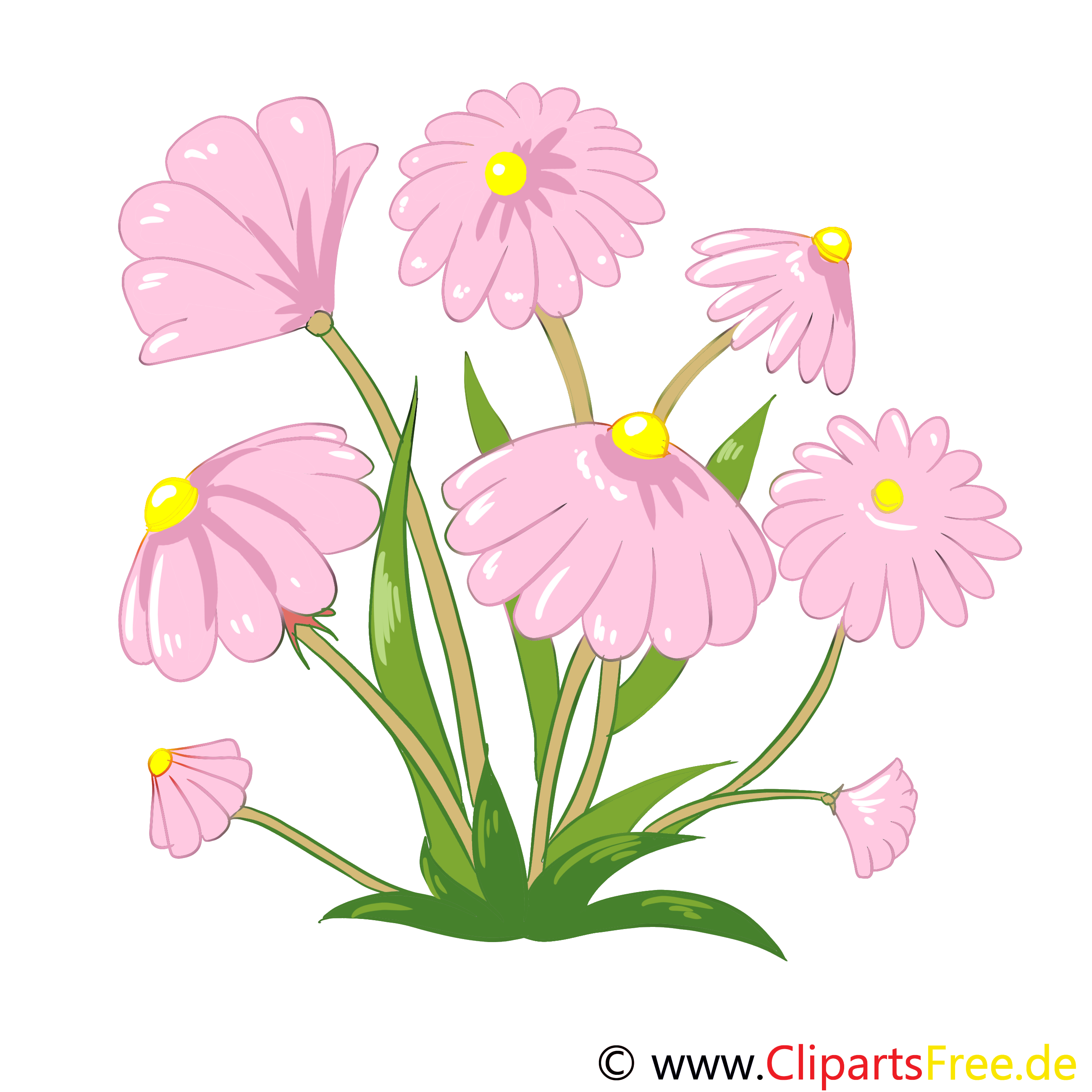 Wilde Blumen im Feld Bild, Clip Art, Grafik, Illustration