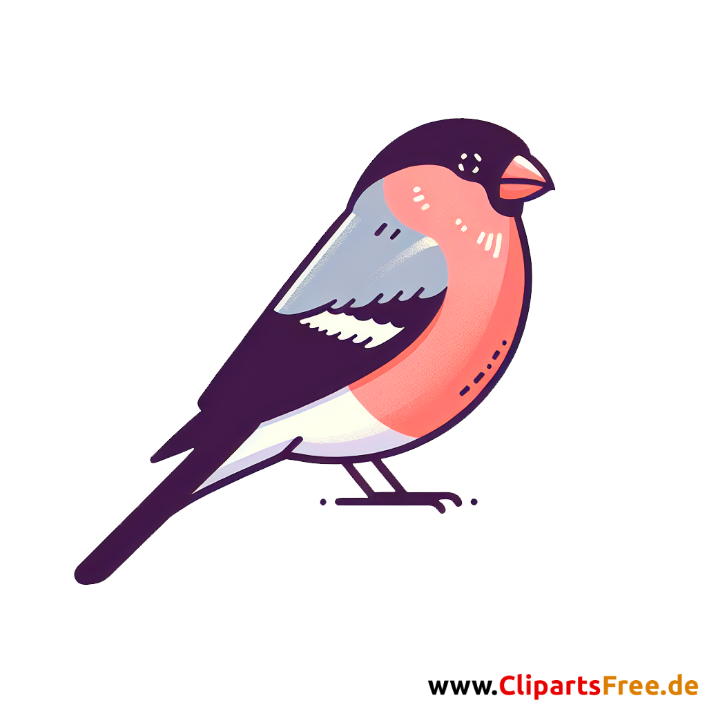 Gimpel Clipart - Bilder zum Thema Vögel